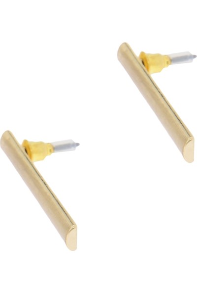 Audrey Metal Detay Altın Kadın Küpe