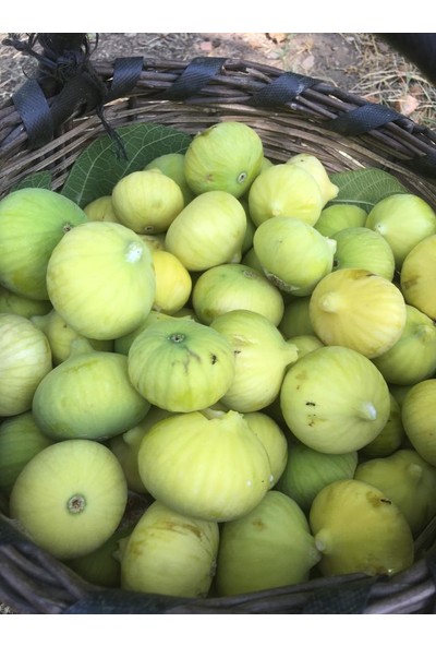 Esim - Mar Taze Beyaz Aydın Inciri 1 kg Esim - Mar Taze Beyaz Aydın Inciri 1 kg