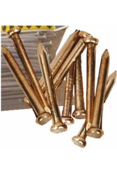 Çelik Beton Çivisi 100 Adet 2 x 30 Mm. Çelik Beton Çivisi 100 Adet 2 x 30 Mm.