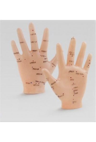 Tuğra Ticaret El Maketi Akupunktur Noktaları 835 Tuğra Ticaret El Maketi Akupunktur Noktaları 835