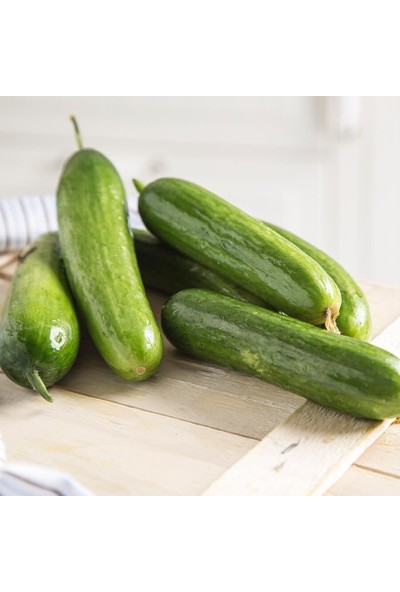 Mutlupaket Çıtır Çengelköy Salatalık (Hıyar) Fidesi (5 Adet)