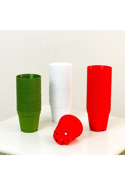 Fidan Burada 5.5 cm Kaktüs ve Sukulent Yetiştirme Saksısı 100'LÜ Karışık Renkli