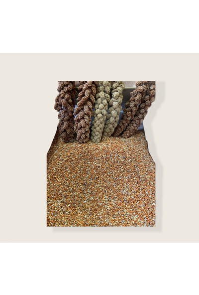 Hanımeli Pet Store Daldarıdan Elenmiş Kızıldarı 1kg