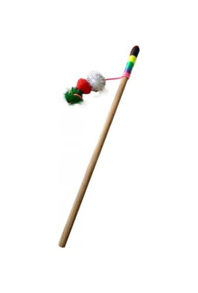 Kastore Kedi Oltası Kedi Oyuncak