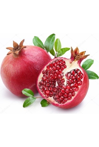 Köy Tohumları 20 Adet Tohum Nar Ağacı Tohumu Kırmızı Nar Ağacı Tohumu Saksı Toprak Süpriz Heidye Bonsai Ağacı