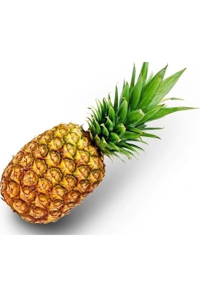 10 Adet Ananas Meyve Tohumu Ananas Tohumu Sürpriz Hediye Tohumludur 10 Adet Ananas Meyve Tohumu Ananas Tohumu Sürpriz Hediye Tohumludur