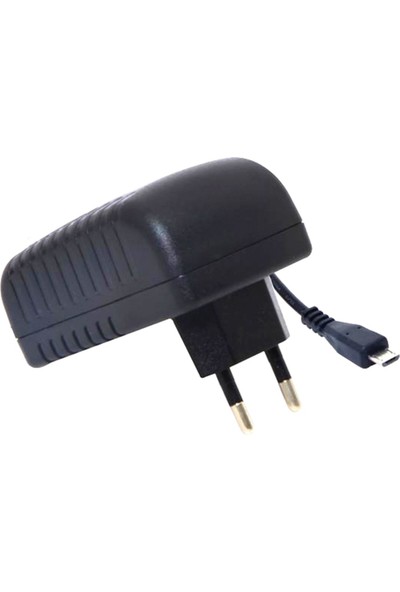 Powermaster PM-32401 5 Volt - 2 Amper Mıcro USB Uç Tablet Adaptörü Powermaster PM-32401 5 Volt - 2 Amper Mıcro USB Uç Tablet Adaptörü