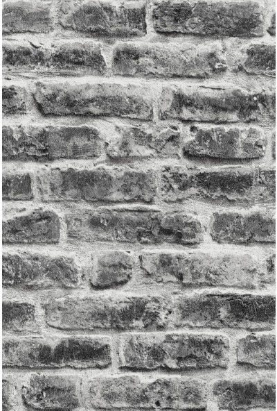 BienHome Bien Duvar Kağıtları 5310 Gri Taş Desen Duvar Kağıdı 5,30 M² BienHome Bien Duvar Kağıtları 5310 Gri Taş Desen Duvar Kağıdı 5,30 M²