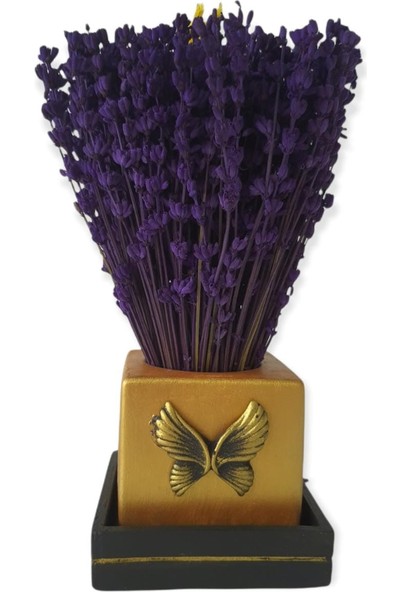 Neşeli Bahçe Gold Kelebek Detaylı Saksıda Mor Mis Kokulu Lavanta Neşeli Bahçe Gold Kelebek Detaylı Saksıda Mor Mis Kokulu Lavanta