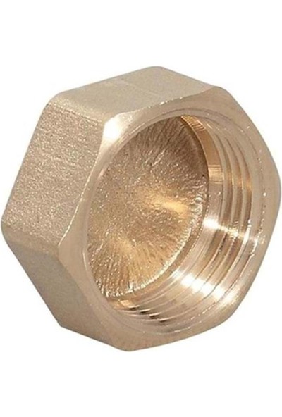 Çiftçi Burada Dişi Kortapa 1