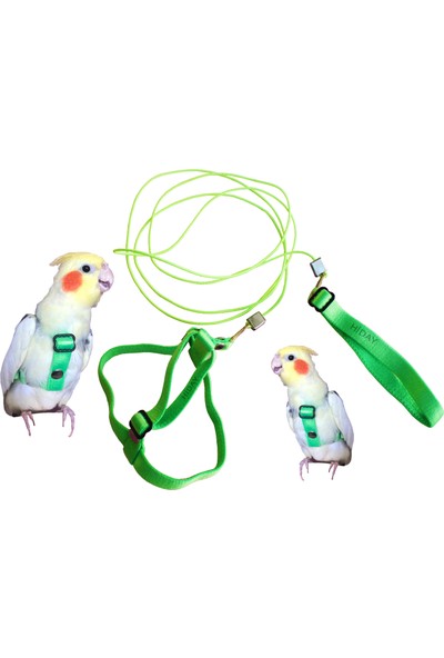 Hiday Sultan Sevda Cennet Papağan Eğitim Uçurma Tasması Yeşil Hiday Sultan Sevda Cennet Papağan Eğitim Uçurma Tasması Yeşil