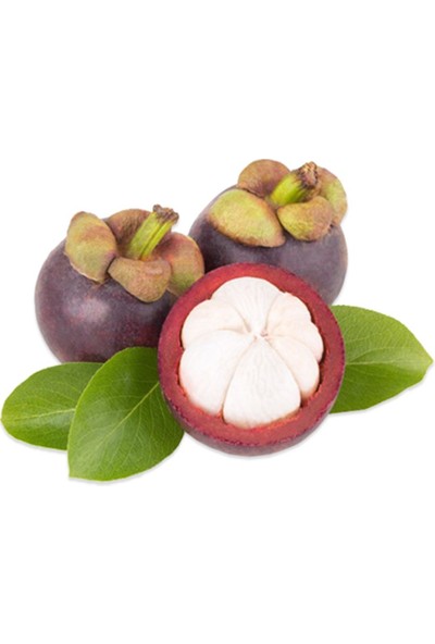Sebze Meyve Dünyası Mangosten 2'li