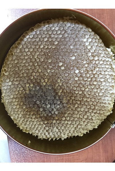Çetin Siirt Yöresel Ürünler Koyu Petek Balı Siirt Karakovan 1 kg Çetin Siirt Yöresel Ürünler Koyu Petek Balı Siirt Karakovan 1 kg