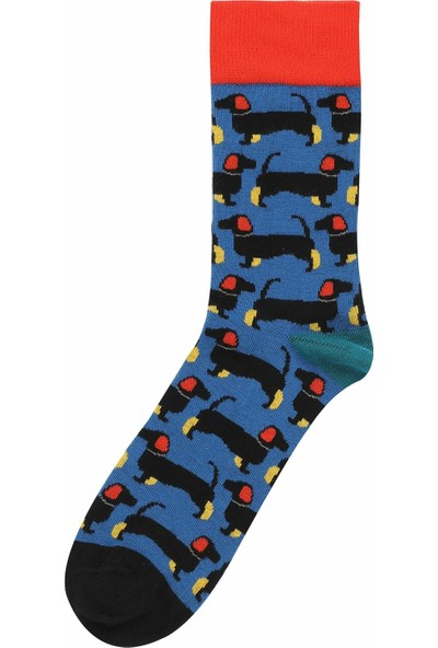 Colin's Çok Renkli Erkek Çorap