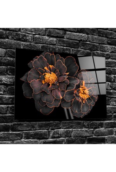 Kıvırcık Nilüfer Çiçeği Yatay Cam Tablo