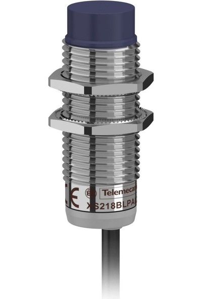 Schneider XS218BLPAL2