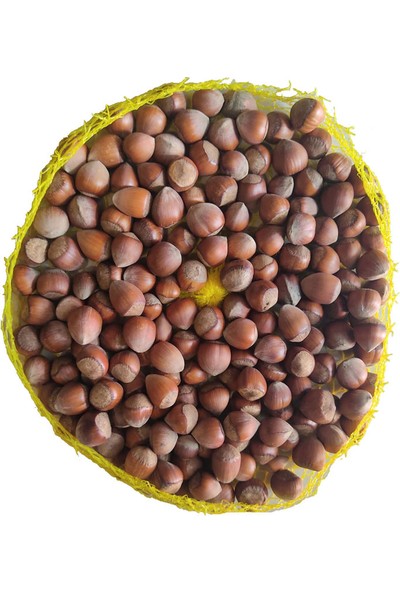 Giresun Kabuklu Fındık Fındık 1 kg