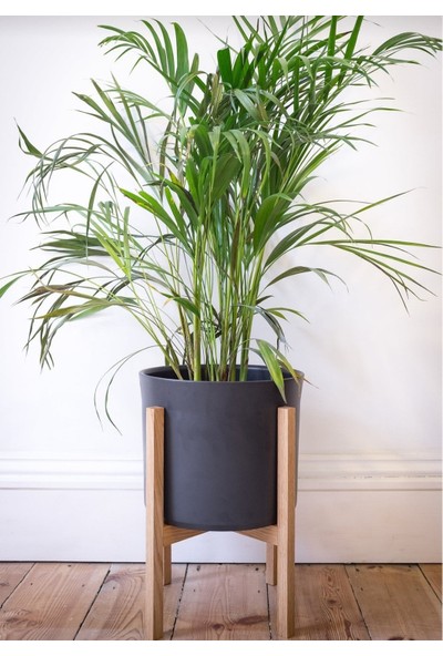 Hüma Ahşap Çiçeklik Saksılık - Ahşap Ayaklı Çiçek Standı