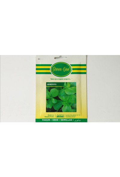 Anto Tarım Sebze Tohumları ( Tere Roka Cherry Turp Semizotu Dereotu Kıvırcık Marul )