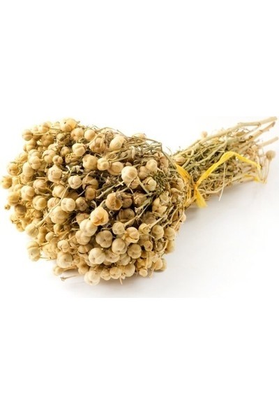 2 Demet Kurutulmuş Üzerlik Otu Nazarlık Tütsü Otu Yeni Mahsül Nazar Otu Mis Kokulu Tütsü