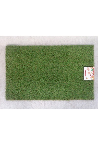 Kayahan Ev 50 x 80 cm. 20 Mm. Çiğdem Çim Paspas, Kapı Önü Çim Paspası