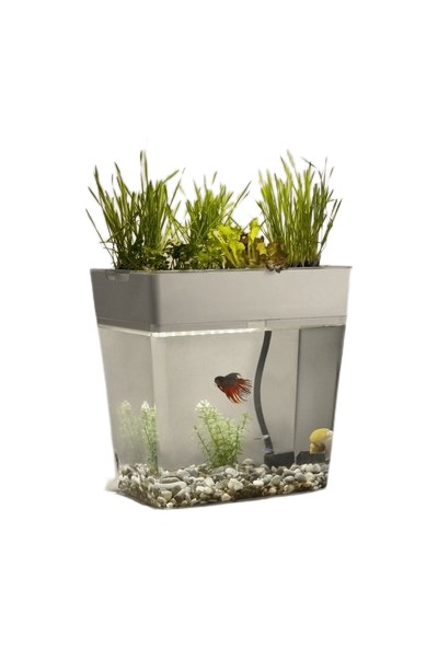 Dopagu Aqua Garden Kendi Kendini Temizleyebilen Akıllı Akvaryum 9 Litre Dopagu Aqua Garden Kendi Kendini Temizleyebilen Akıllı Akvaryum 9 Litre