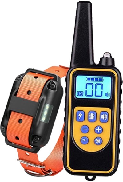 F Fityle Köpek Eğitim Seti (Yurt Dışından)