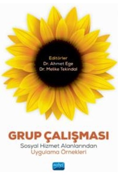Grup Çalışması - Ahmet Ege