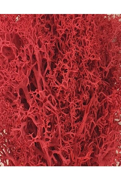 Eshel Doğal Yosun Pembe 10 gr