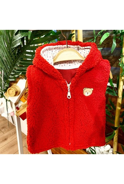 Renkli Puset Peluş Polar Bebek Kapşonlu Hırka Wellsoft Ayı