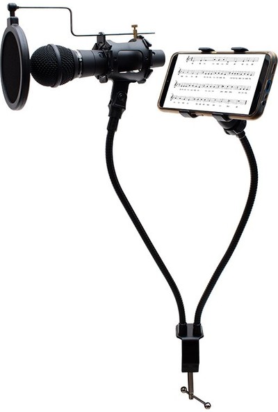 Datapower Profesyonel Mikrofon ve Telefon Tutucu