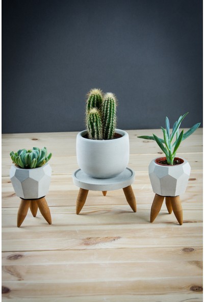 Tasarımbo Masif Ahşap Ayaklı 3'lü Beyaz Beton Saksı Seti Tasarımbo Masif Ahşap Ayaklı 3'lü Beyaz Beton Saksı Seti