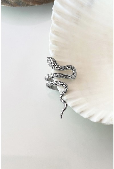 Takıştır Cerrahi Paslanmaz Çelik Gümüş Renk Yılan Figürlü Kıstırmalı Kıkırdak Küpe Takıştır Cerrahi Paslanmaz Çelik Gümüş Renk Yılan Figürlü Kıstırmalı Kıkırdak Küpe