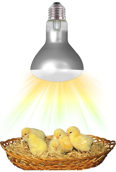 Modern Isıtıcı Ampul 100 Watt