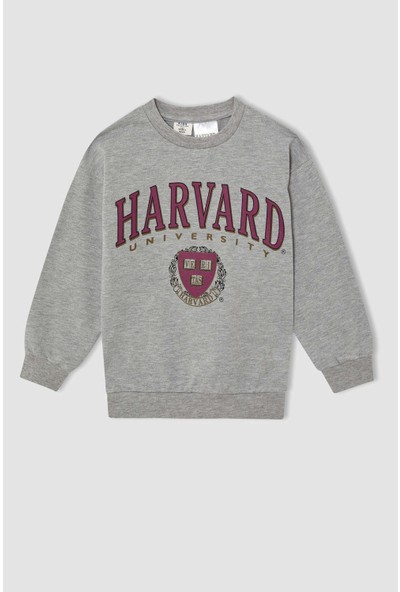 DeFacto Erkek Çocuk Harvard University Lisanslı Kapüşonlu Sweatshirt W6961A621WN DeFacto Erkek Çocuk Harvard University Lisanslı Kapüşonlu Sweatshirt W6961A621WN