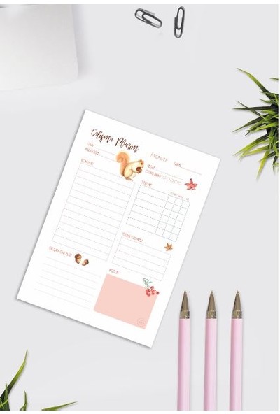Papiro Sonbahar Çalışma Planlayıcı