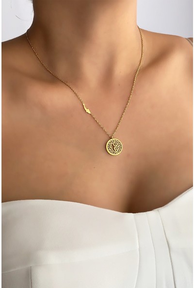 ÇLK Accessories Çelik Yunus Figür Çelik Kolye TRKOLYE5729 B34503