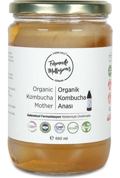 Fermente Mutfağım Kombucha Anası Fermente Mutfağım Kombucha Anası