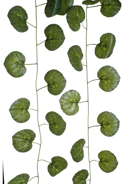 Dekoratif Yeşil Yapraklı Yapay Sarmaşık Yuvarlak 230 cm