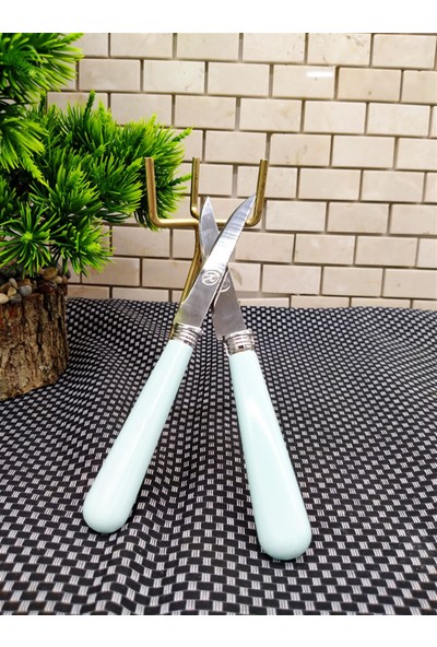 Rooc 2'li Turkuaz Meyve Bıçağı Takımı Rooc 2'li Turkuaz Meyve Bıçağı Takımı