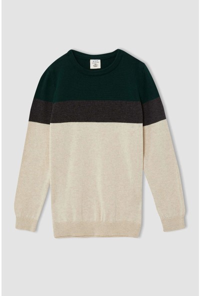 DeFacto Erkek Çocuk Regular Fit Bisiklet Yaka Renk Bloklu Pamuklu Triko Kazak W3577A621WN