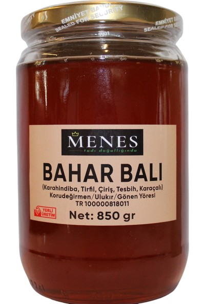 Menes Süzme Çiçek Balı (Bahar Balı) Doğal Katkısız Şekersiz 850 gr