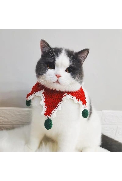 Burden Christmas Noel Süsü , Kedi Tasması & Boyun Aksesuarı, Pet Fashion, Tasarım Ürün Fenomen Kedi