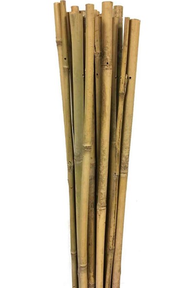 Evgaraj Bambu Bitki Destek Çubuğu 90 Cm, 1 Adet Evgaraj Bambu Bitki Destek Çubuğu 90 Cm, 1 Adet