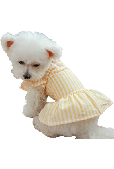 Eternal Pet Giysileri (Yurt Dışından)