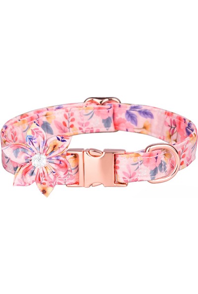 Eternal Pet Giysileri (Yurt Dışından)