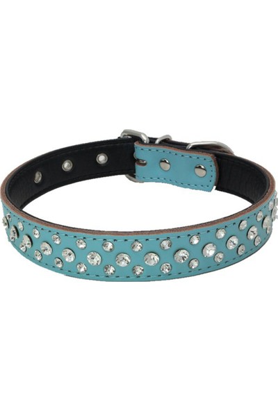 Eternal Pet Giysileri (Yurt Dışından)