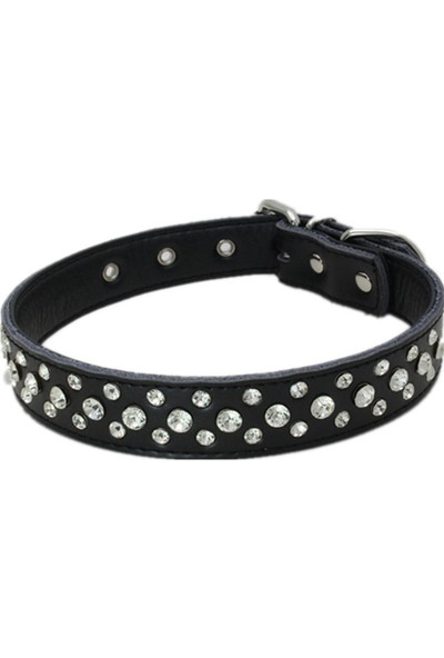 Eternal Pet Giysileri (Yurt Dışından)