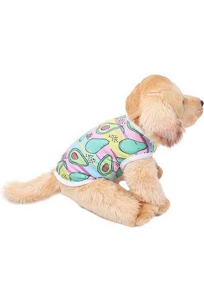 Eternal Pet Giysileri (Yurt Dışından)