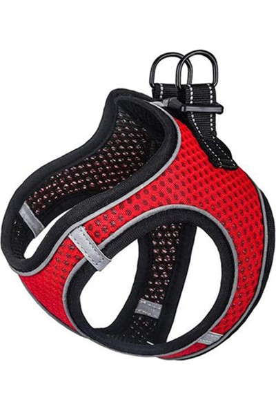 Eternal Pet Giysileri (Yurt Dışından)